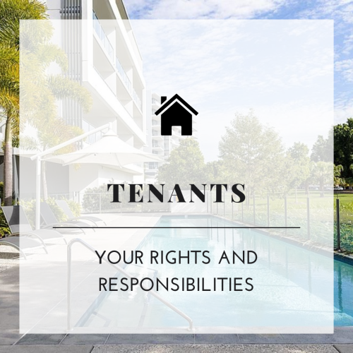 Tips & Advice - Rentals